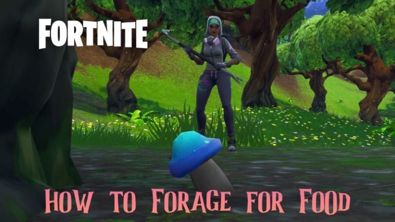 Fortnite: How to Forage for Food Guide
