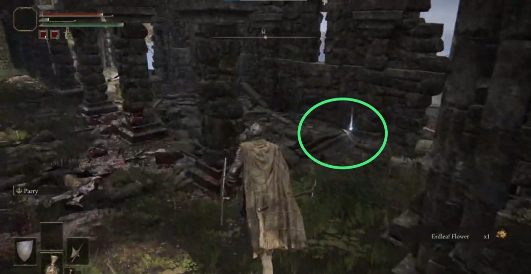 Elden Ring: Purified Ruins - All Details