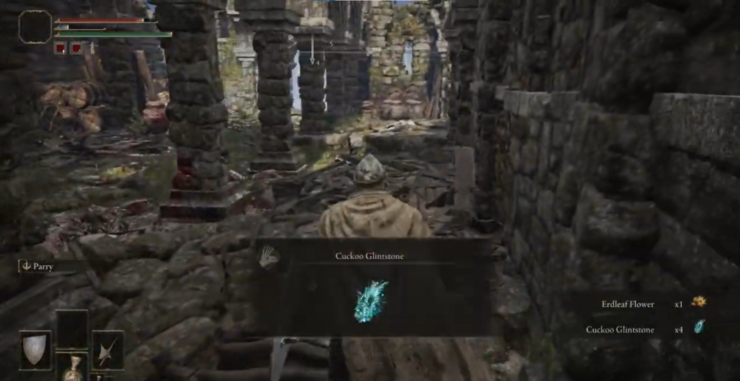 Elden Ring: Purified Ruins - All Details