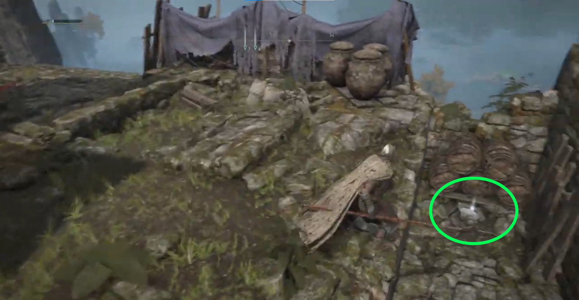 Elden Ring: Purified Ruins - All Details