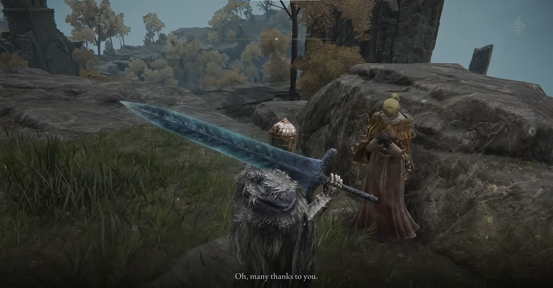 Elden Ring: Purified Ruins - All Details