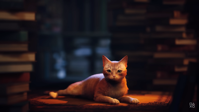 The Shocking Origin Story of Stray Explained