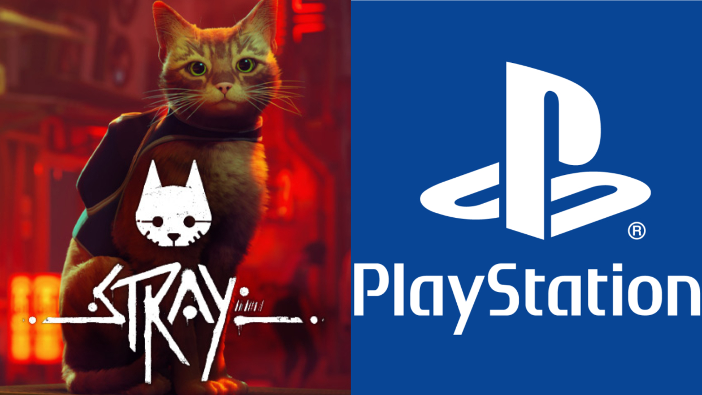 Stray Physical Edition; Platform, Release Date + Content – Spiel Times