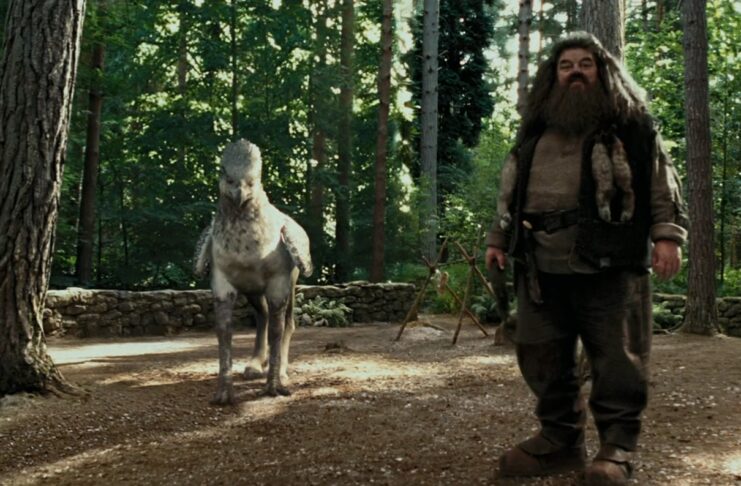 Unforgettable Moments of Hagrid in Harry Potter