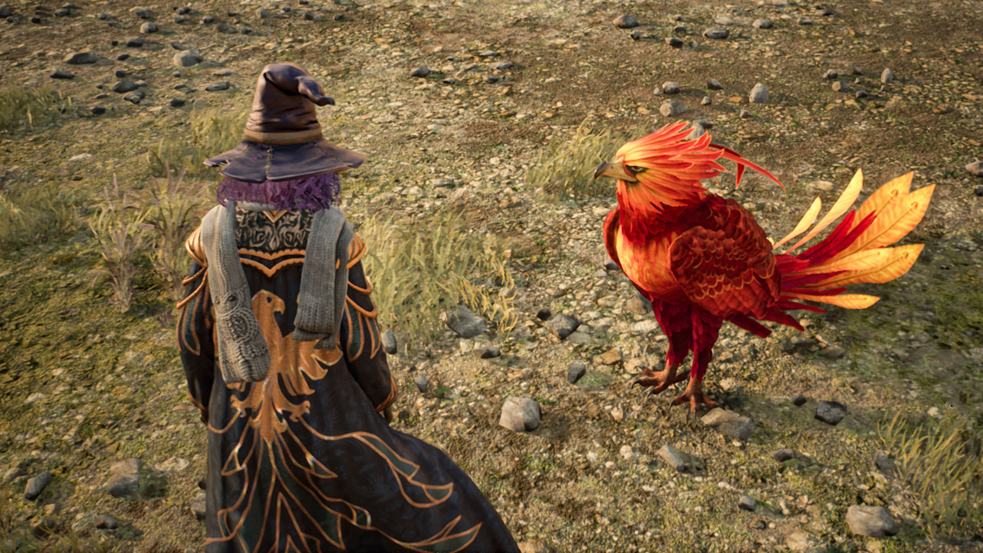 Hogwarts Legacy: Phoenix - Where to find