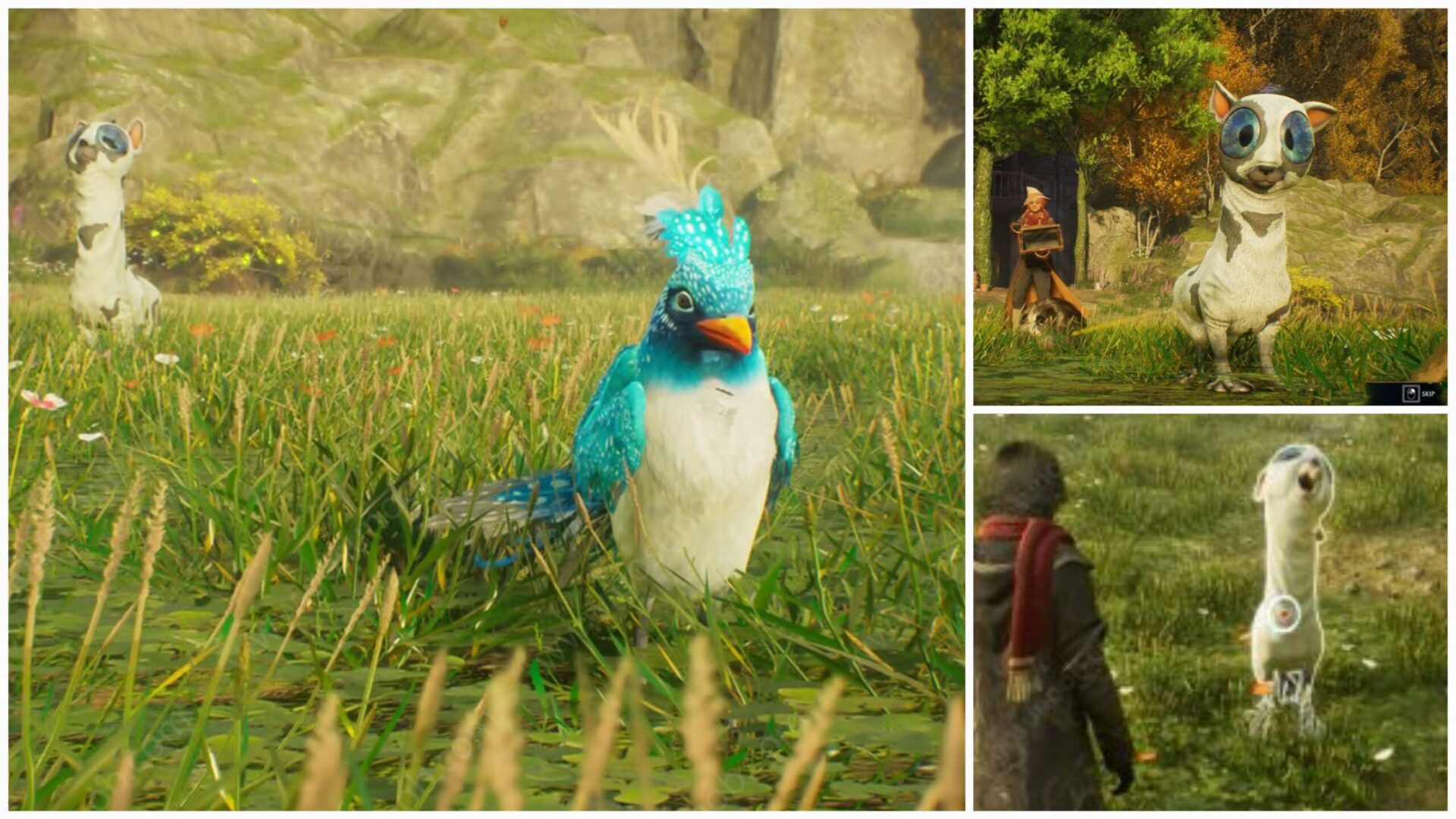 Hogwarts Legacy: Do Magical Beasts' offspring grow up?