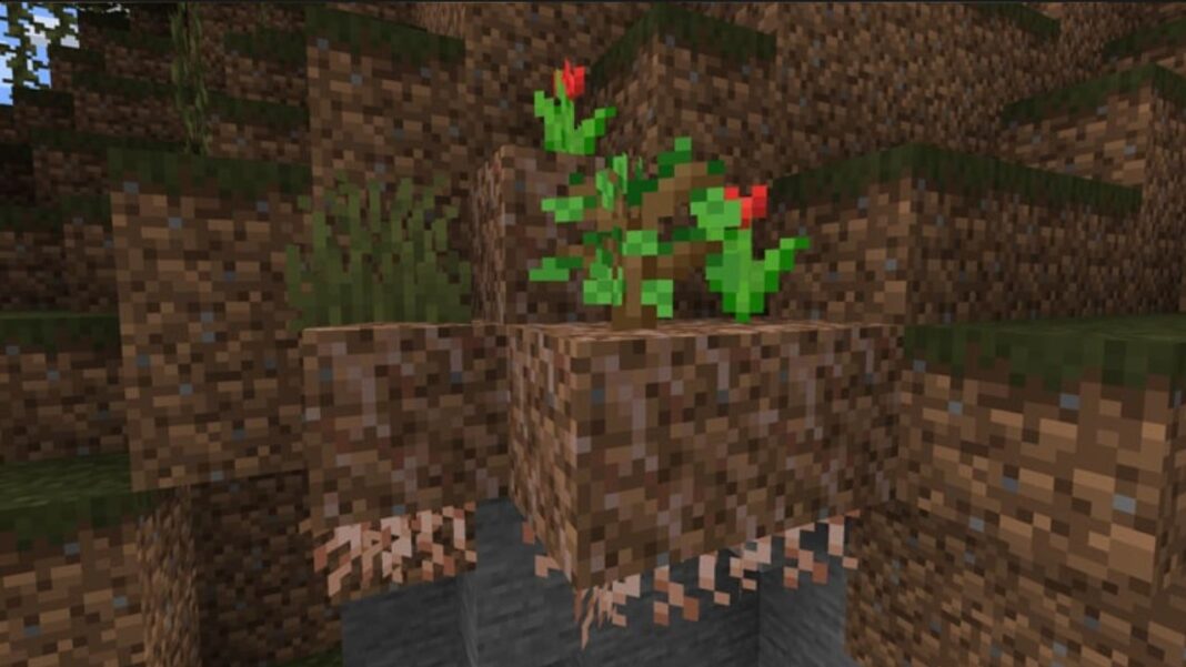 All Dirt Blocks in Minecraft and where to find them