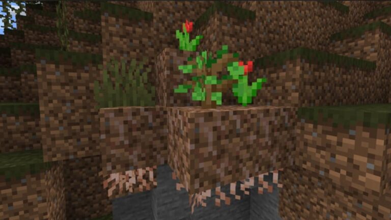 All Dirt Blocks in Minecraft and where to find them