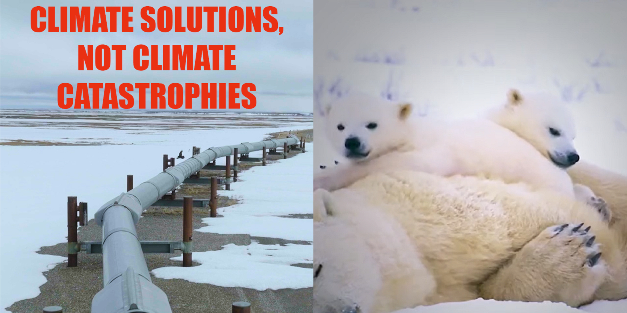 What is the willow project petition about? #stopwillow explained