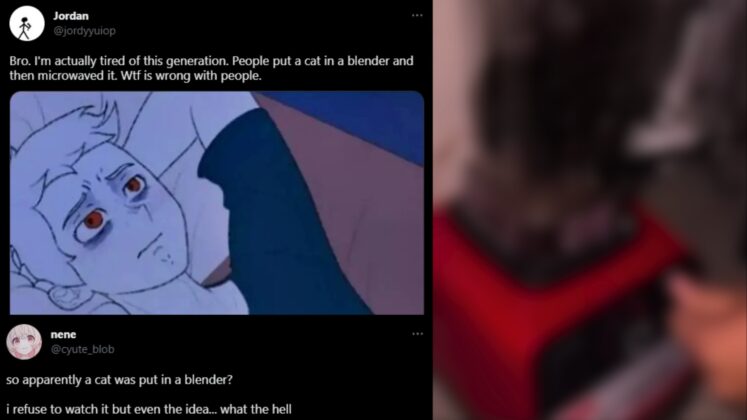 Who is the person behind the viral "Cat in blender" Twitter video?